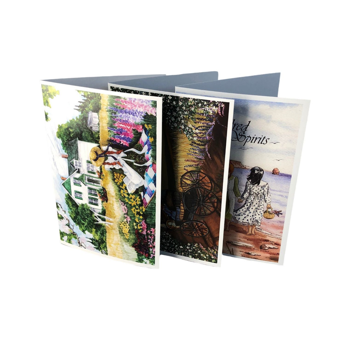 Collections - Theannestore